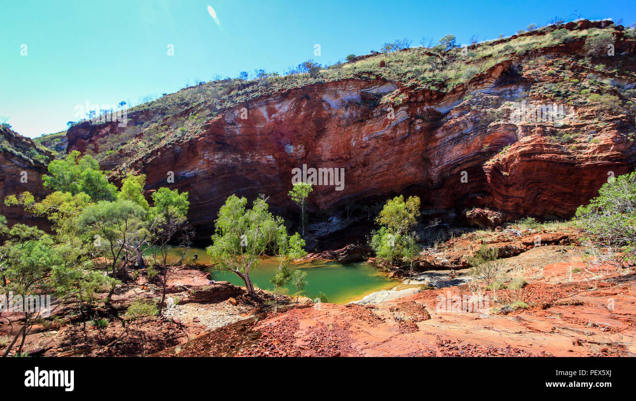 Trees of the australian outback hi-res stock photography and images - Alamy