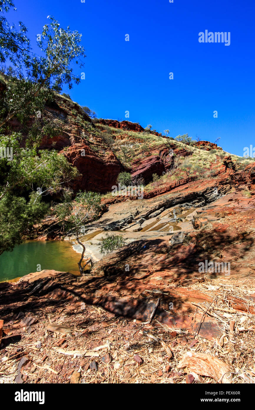 Outback gorge with red rock and trees Stock Photo - Alamy