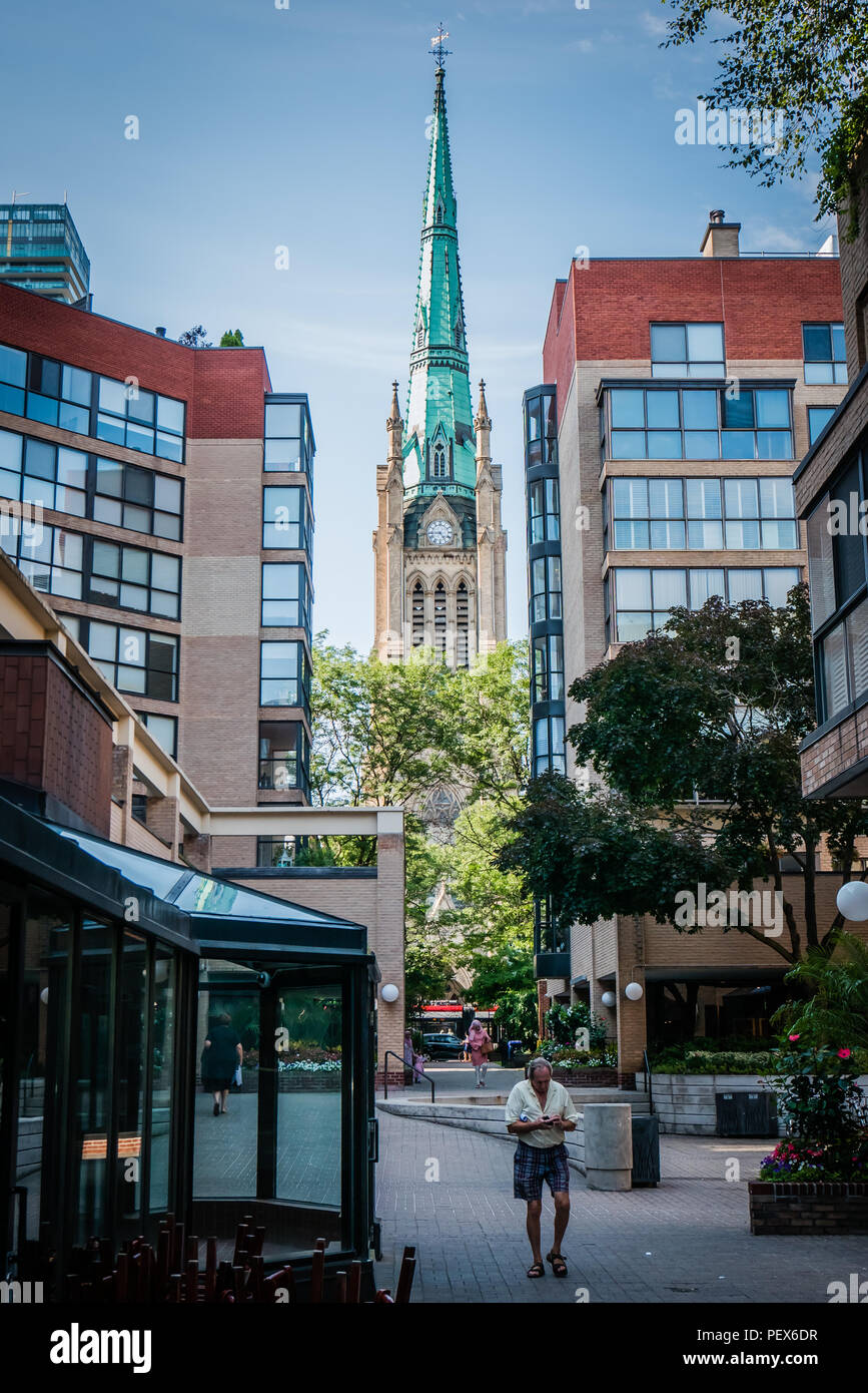 st james cathedral in downtown toronto canada Stock Photo - Alamy