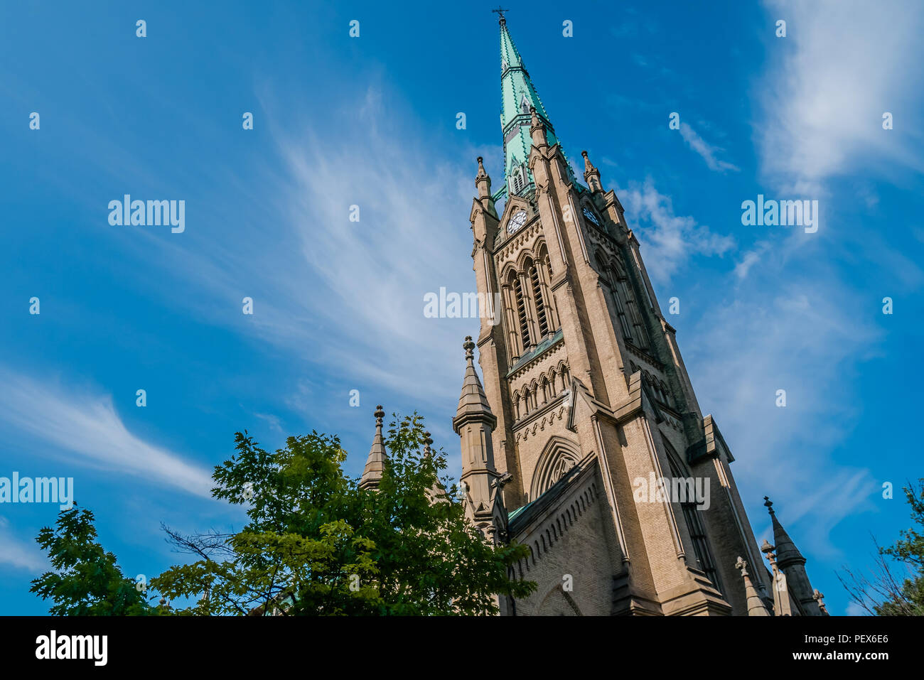 st james cathedral in downtown toronto canada Stock Photo - Alamy
