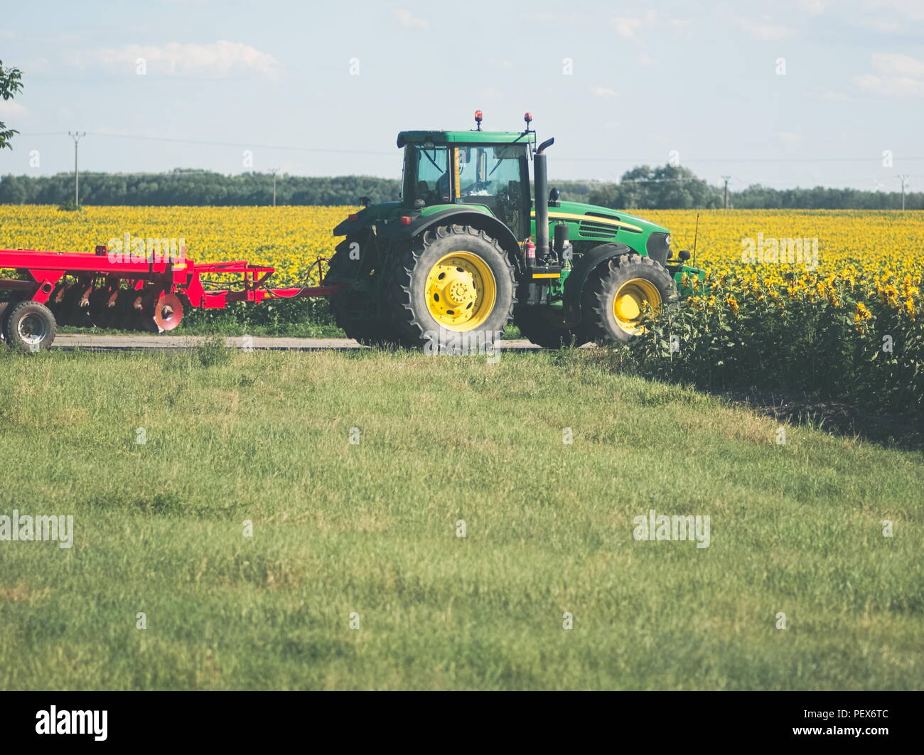 Green Tractor with Red Harrow at Sunflower Field Stock Photo - Alamy