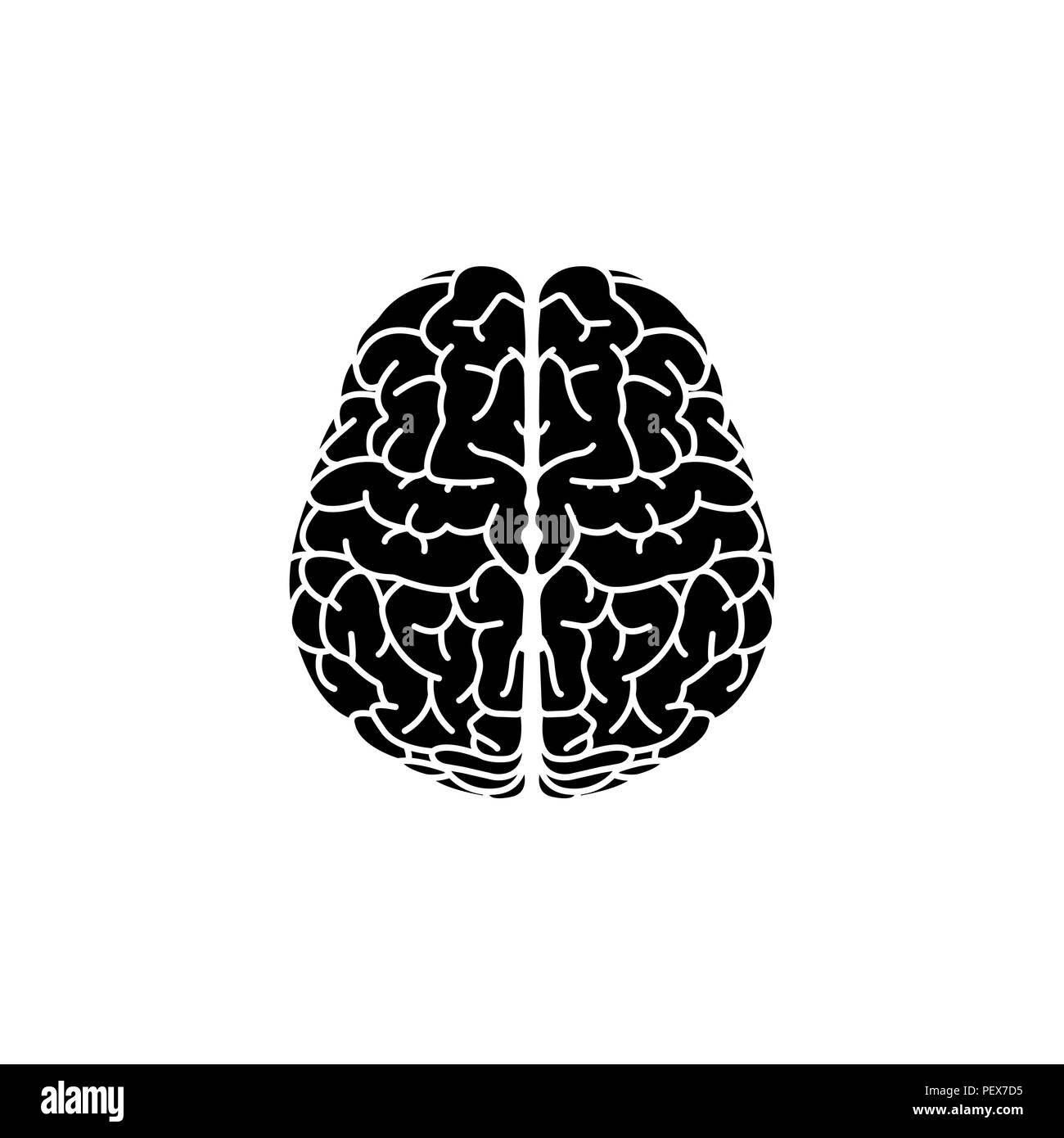 Brain icon. vector illustration black on white background Stock Vector ...