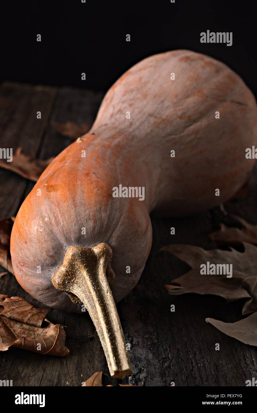 pumpkin laying on a wooden floor Stock Photo - Alamy