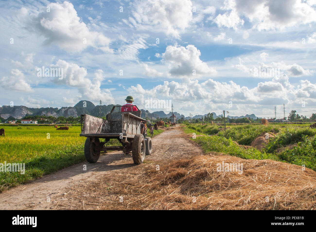 Countryside of vietnam hi-res stock photography and images - Alamy