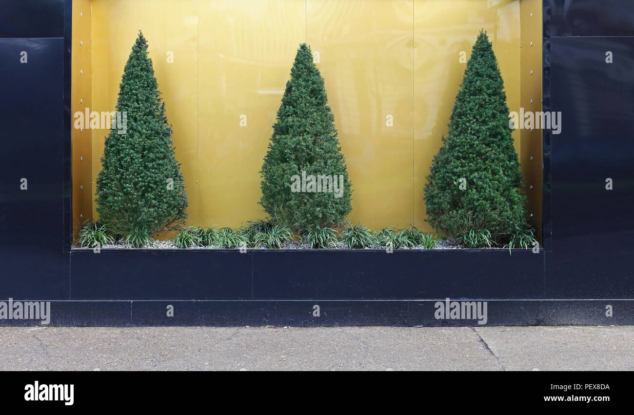 Three pine tree bush at gold background Stock Photo - Alamy