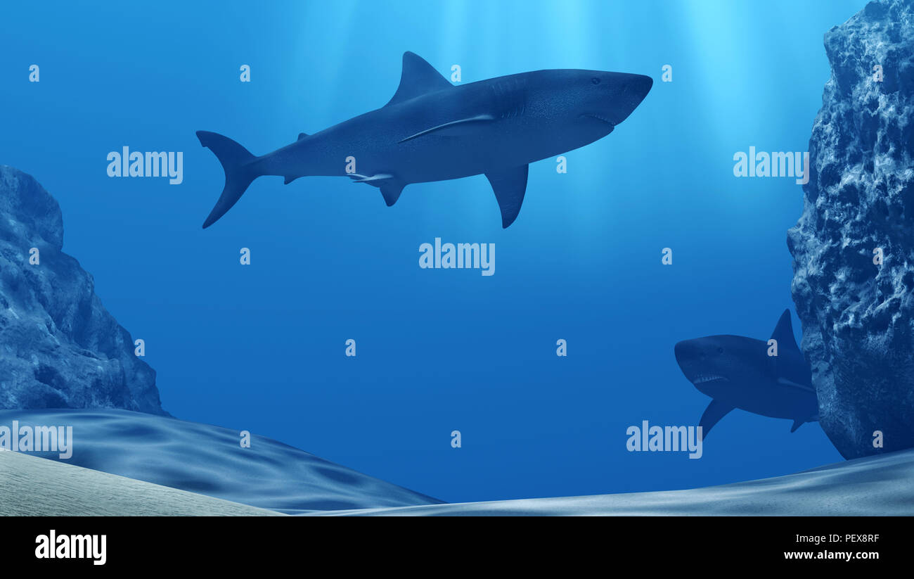 Deep sea creatures hi-res stock photography and images - Alamy