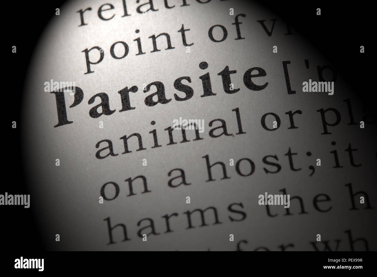 Fake Dictionary, Dictionary definition of the word parasite. including ...