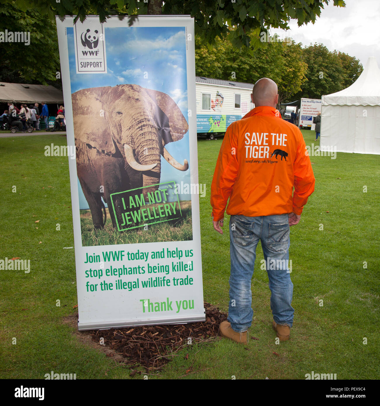 Endangered Animals Poster Wwf