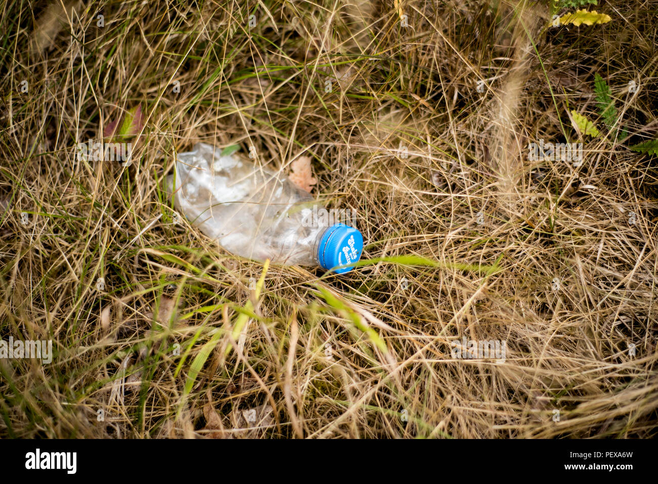 Rubbish long grass hi-res stock photography and images - Alamy