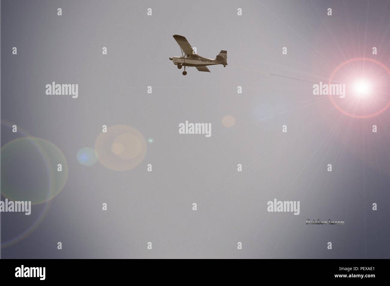 Flying flee hi-res stock photography and images - Alamy