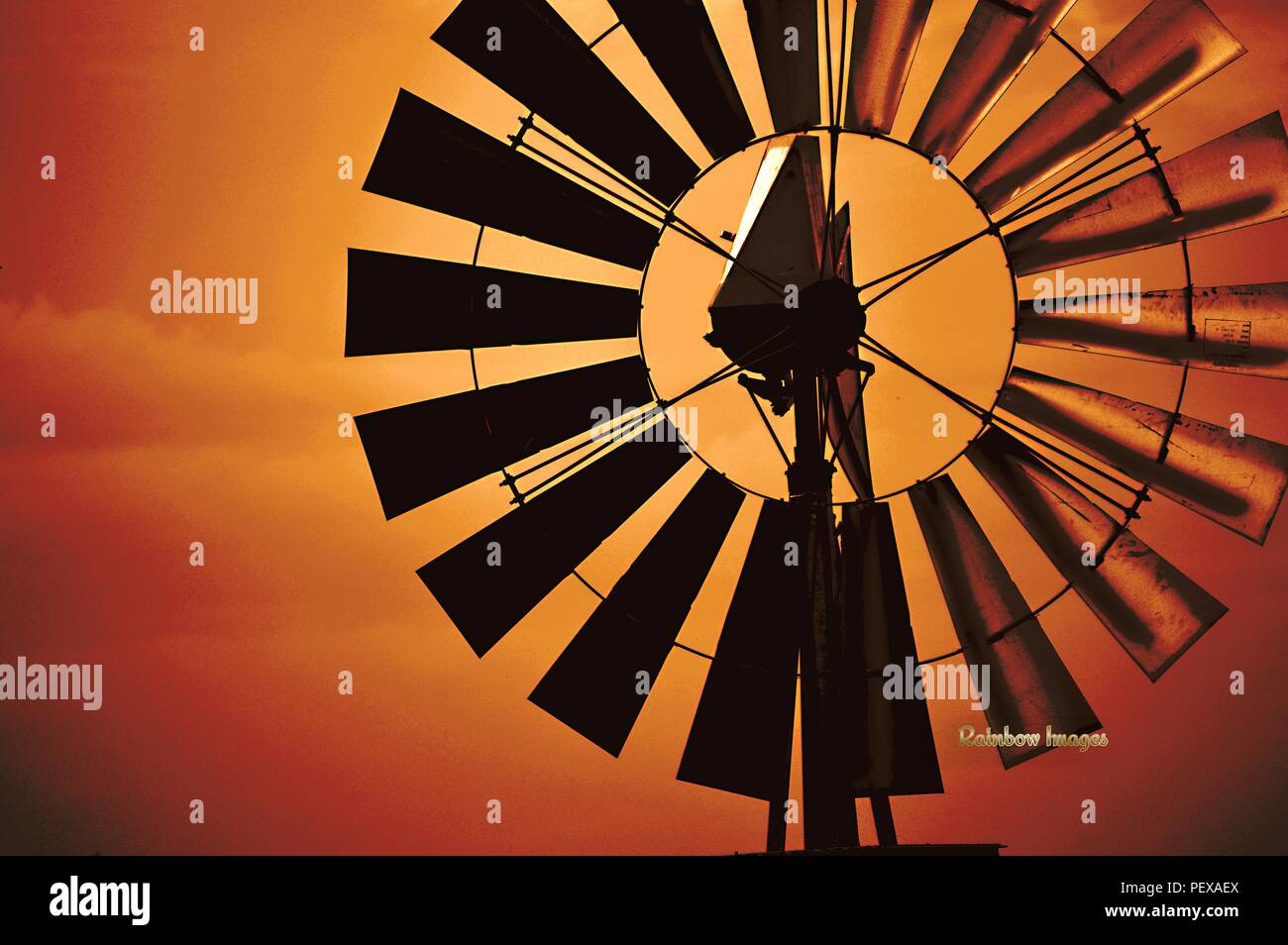 Flying in The Wind Stock Photo - Alamy