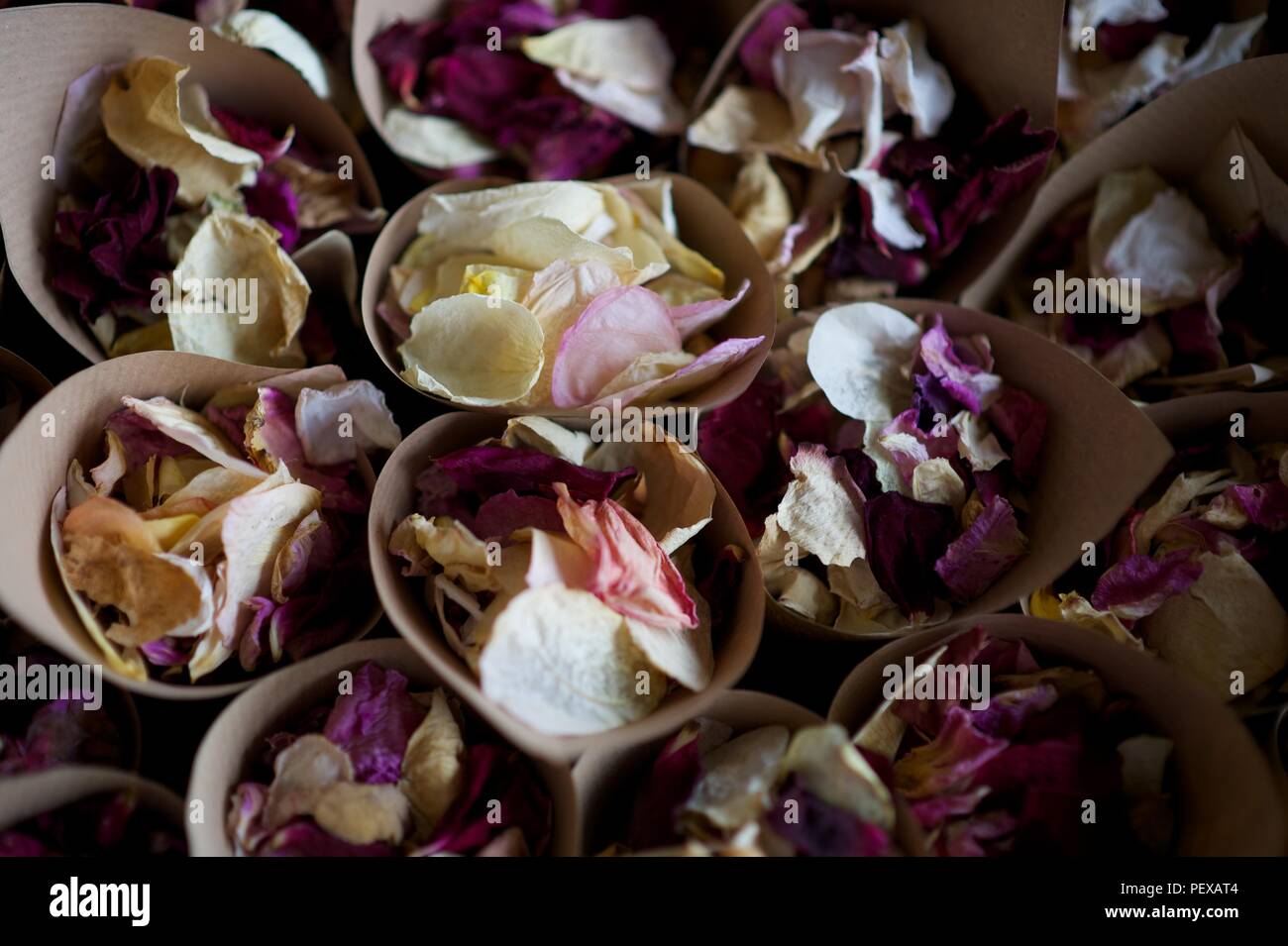 Wedding Paraphernalia High Resolution Stock Photography and Images - Alamy