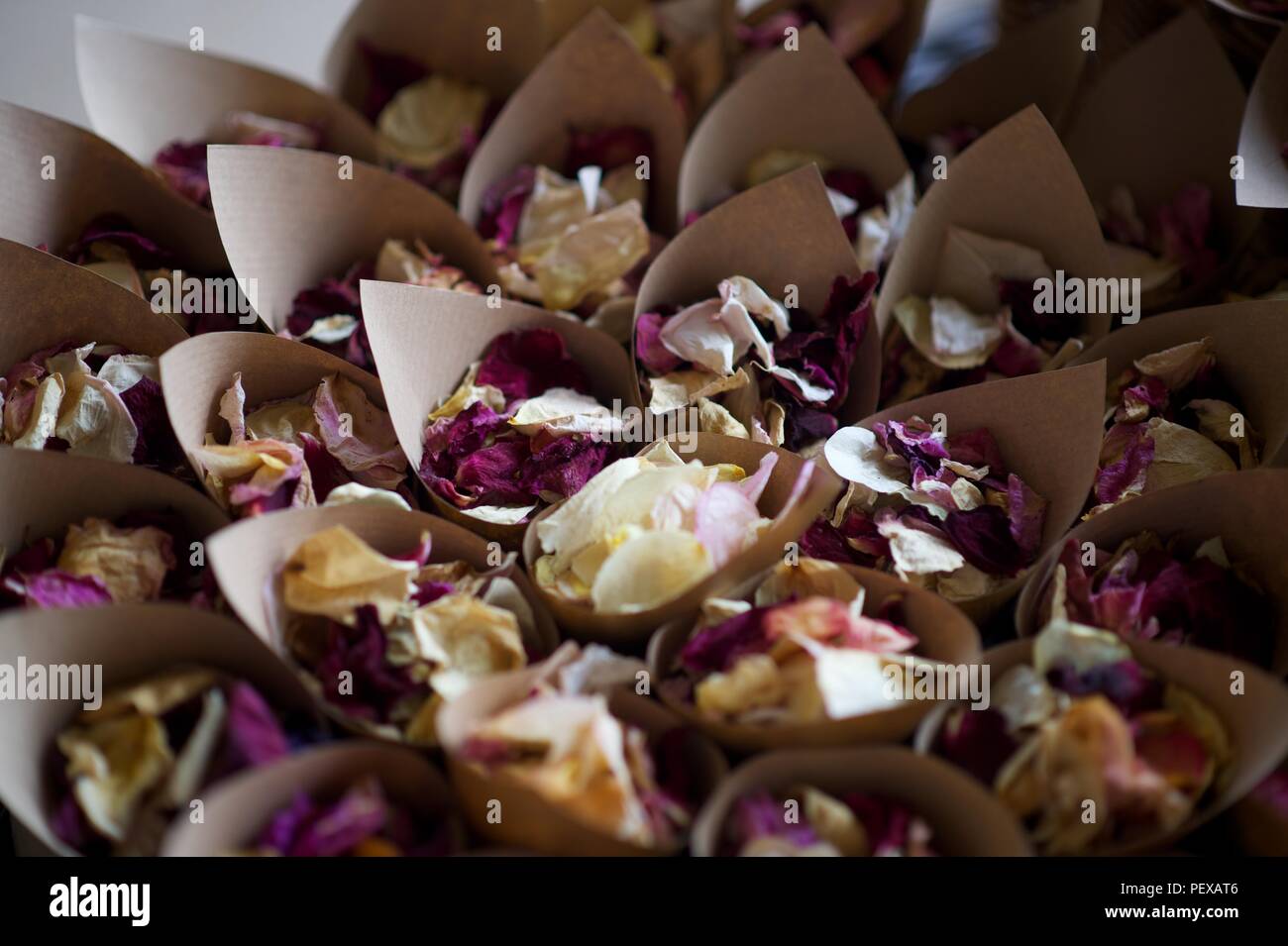 Wedding pieces, wedding paraphernalia Stock Photo - Alamy