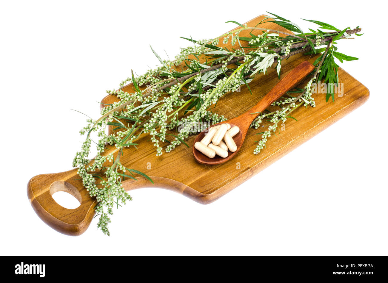 Natural herbal capsules from medicinal plants. Studio Photo Stock Photo ...