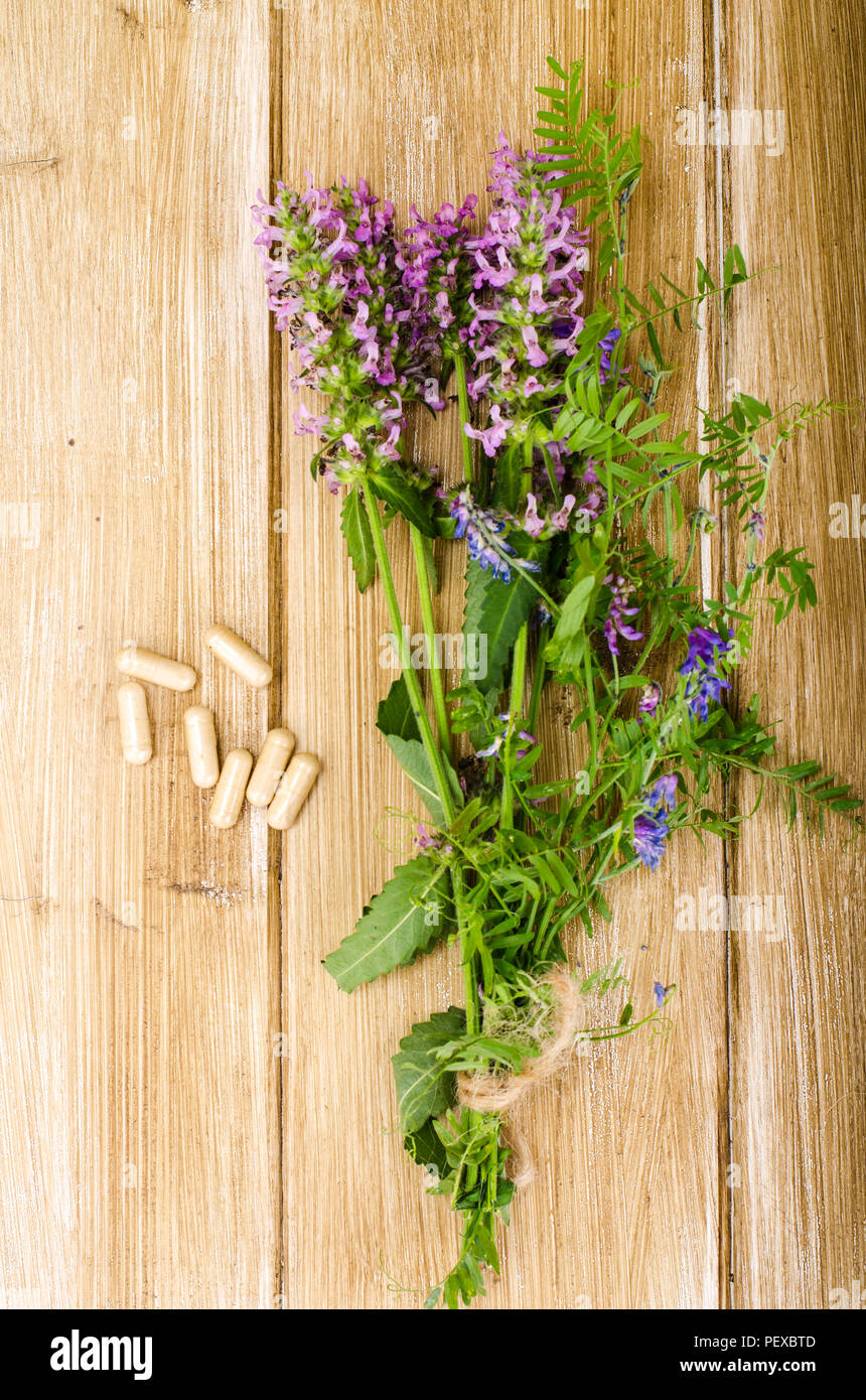 Natural herbal capsules from medicinal plants. Studio Photo Stock Photo ...