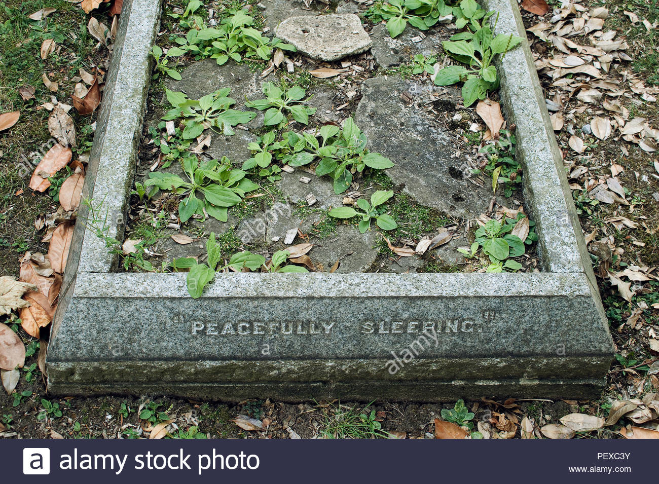 Graveyard Engraving Stock Photos & Graveyard Engraving Stock Images - Alamy
