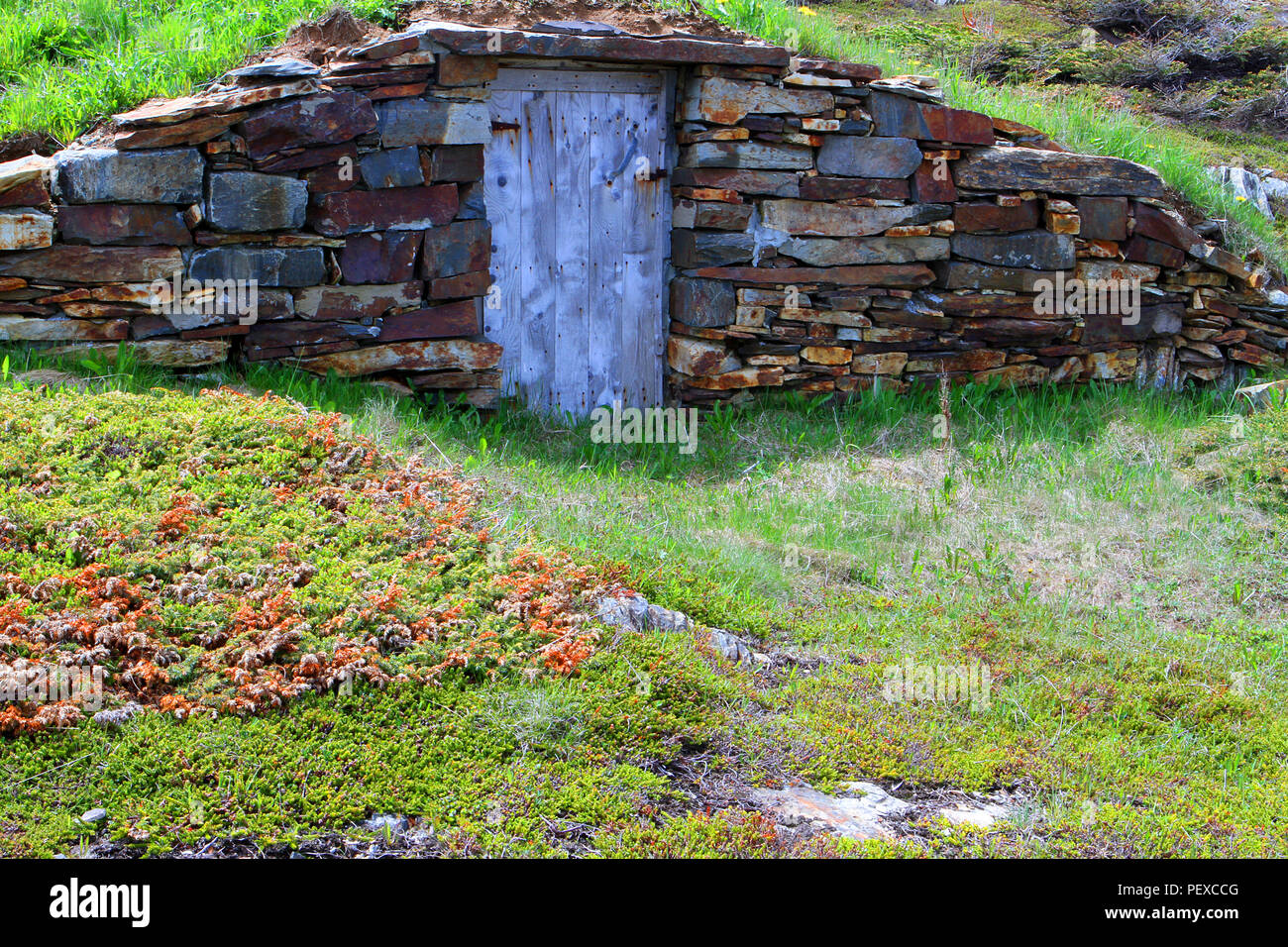 Root cellar hi-res stock photography and images - Alamy