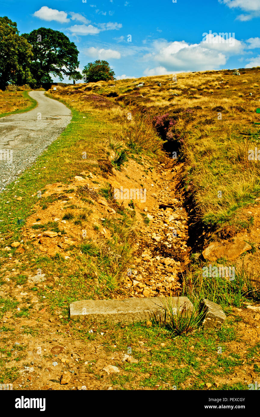 Dried up Gulley, Moorgates, North Yorkshire Moors, England Stock Photo ...