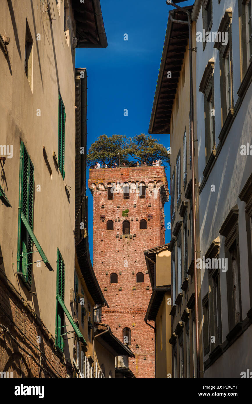 Lucca tower trees hi-res stock photography and images - Alamy