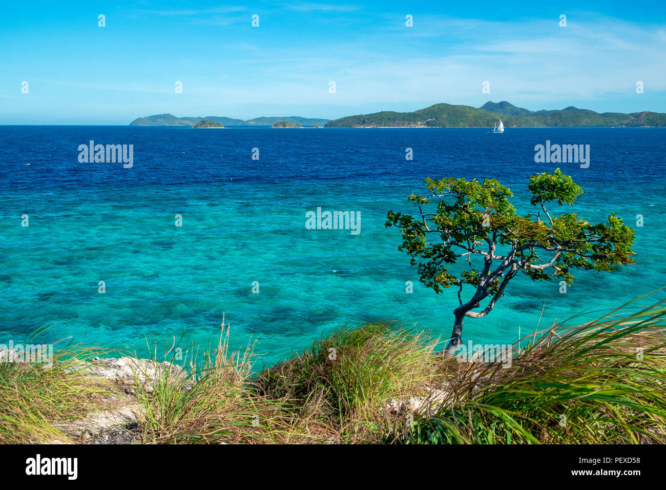 Coron is the third-largest island in the Calamian Islands in northern ...