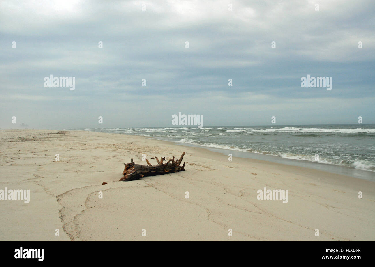 Large Drift alone on a secluded beach Stock Photo - Alamy