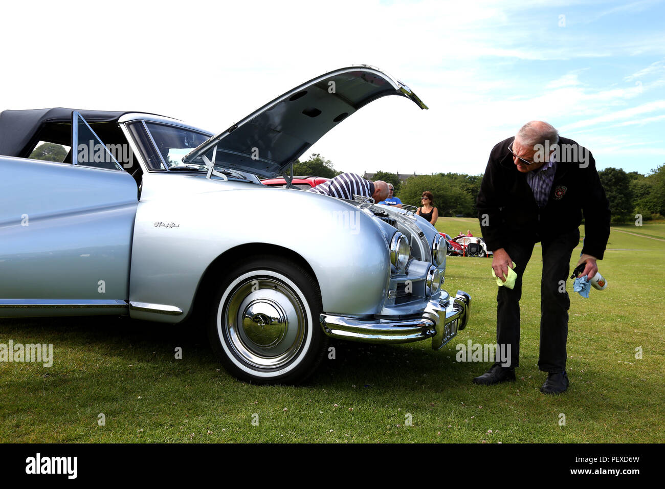 Polishing bonnet hi-res stock photography and images - Alamy