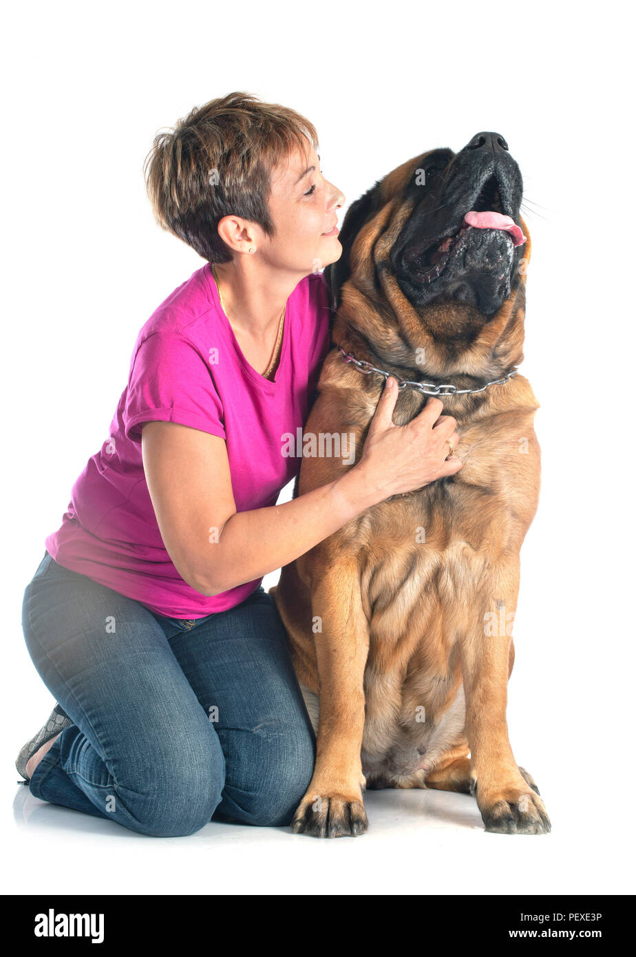female mastiff and woman in front of white background Stock Photo - Alamy