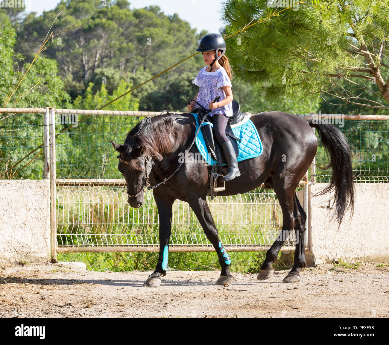 Black child riding horse helmet hi-res stock photography and images - Alamy