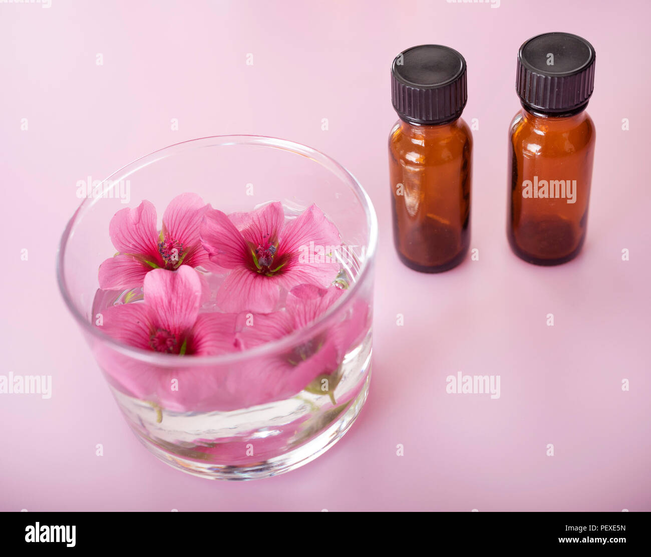 plant tincture in front of pink background Stock Photo - Alamy