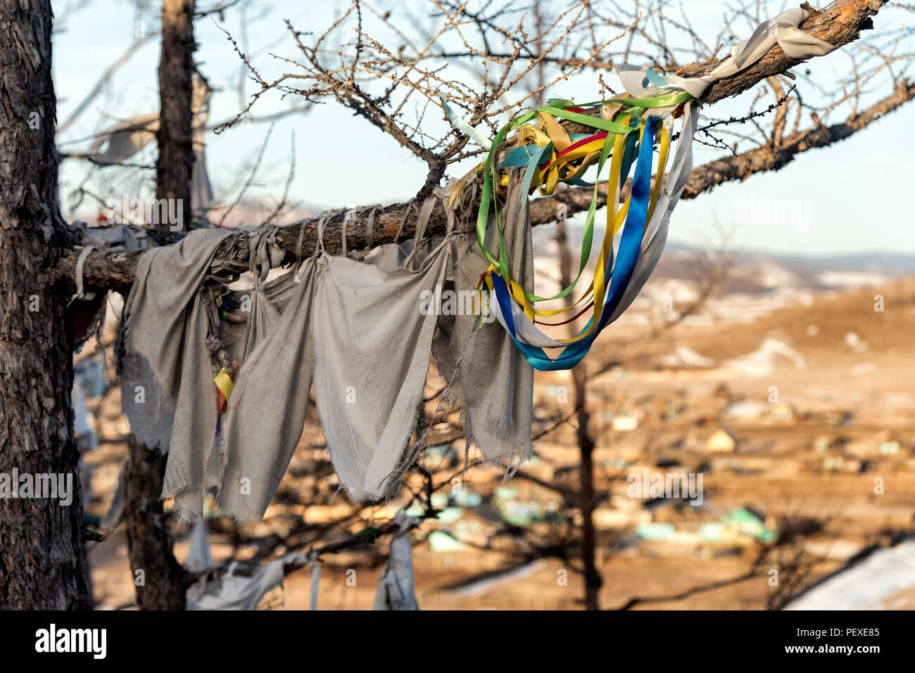 Shamanic tree hi-res stock photography and images - Alamy