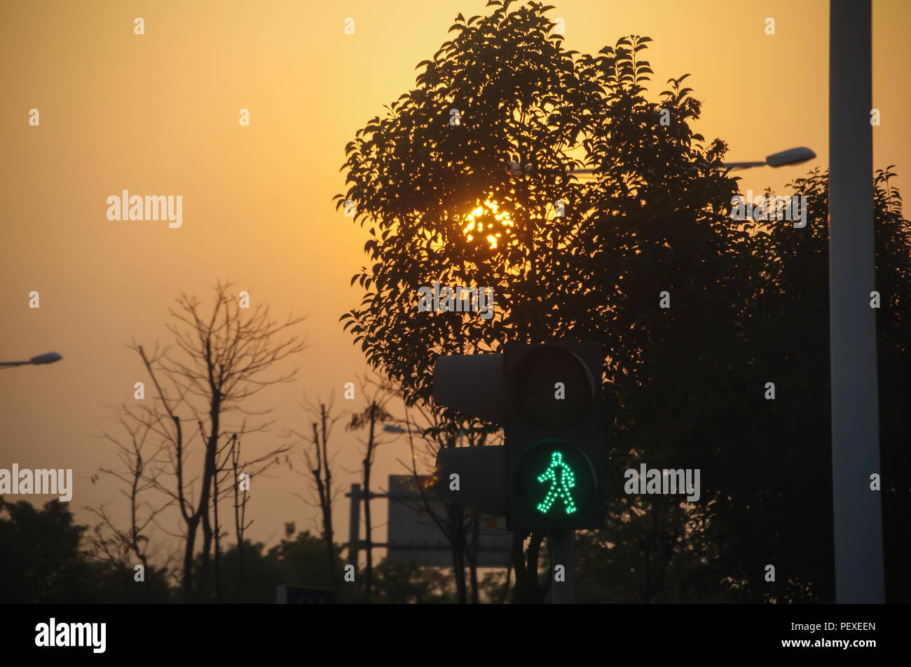 Signal Light in the Zebra Crossing Stock Photo - Alamy