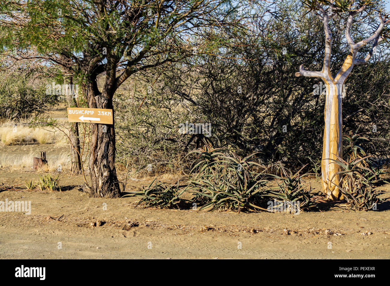 namibia bush camp mesosourus sign Stock Photo - Alamy
