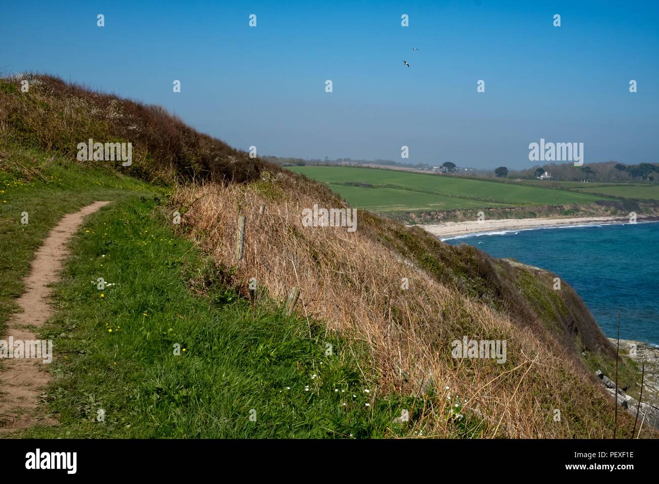 Walking the southwest coast path in Cornwall UK Stock Photo - Alamy