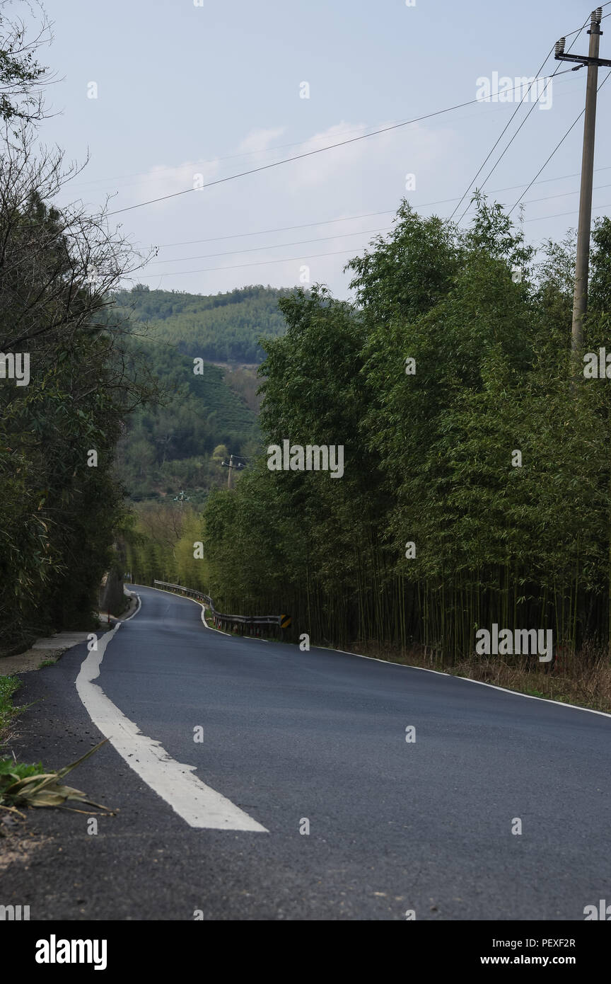 Green Trees on Both Sides of Road Stock Photo - Alamy