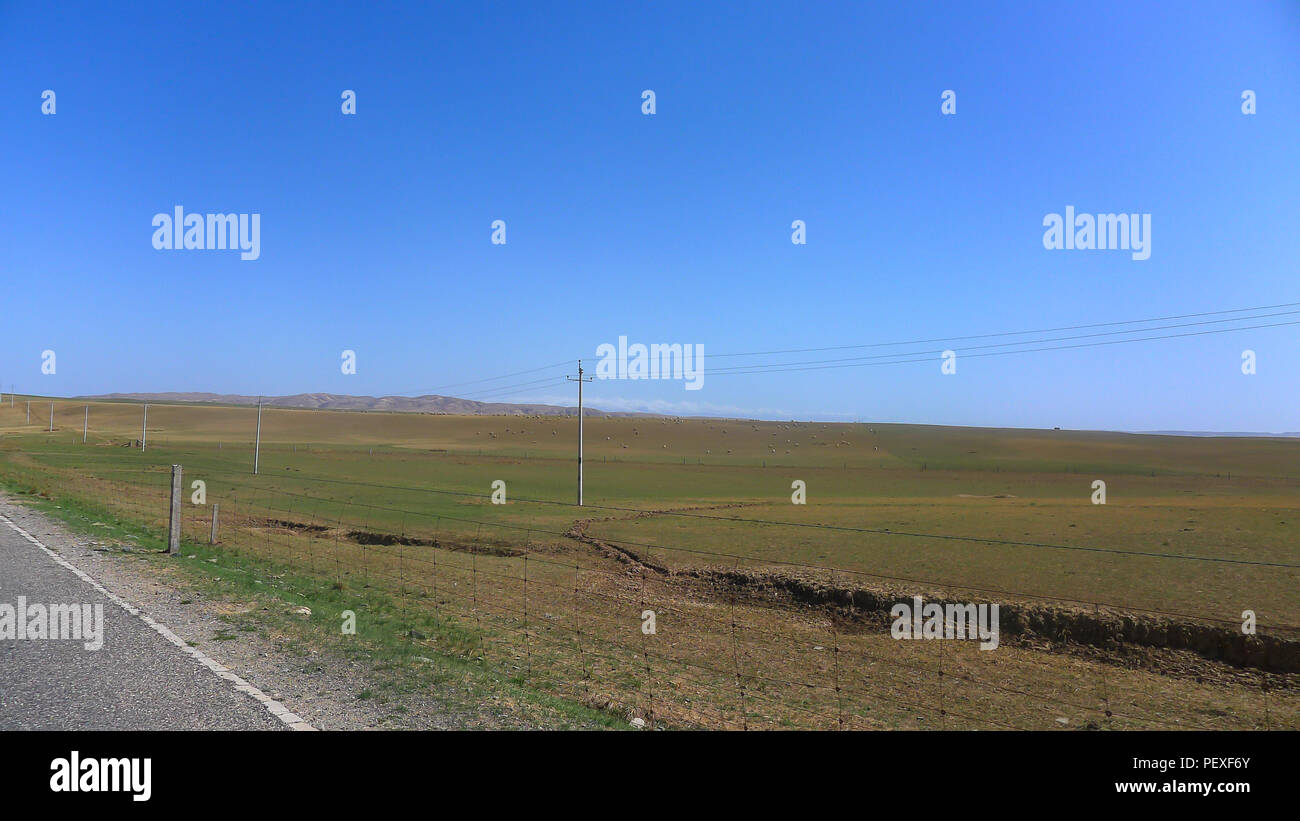 Steppes plain hi-res stock photography and images - Alamy