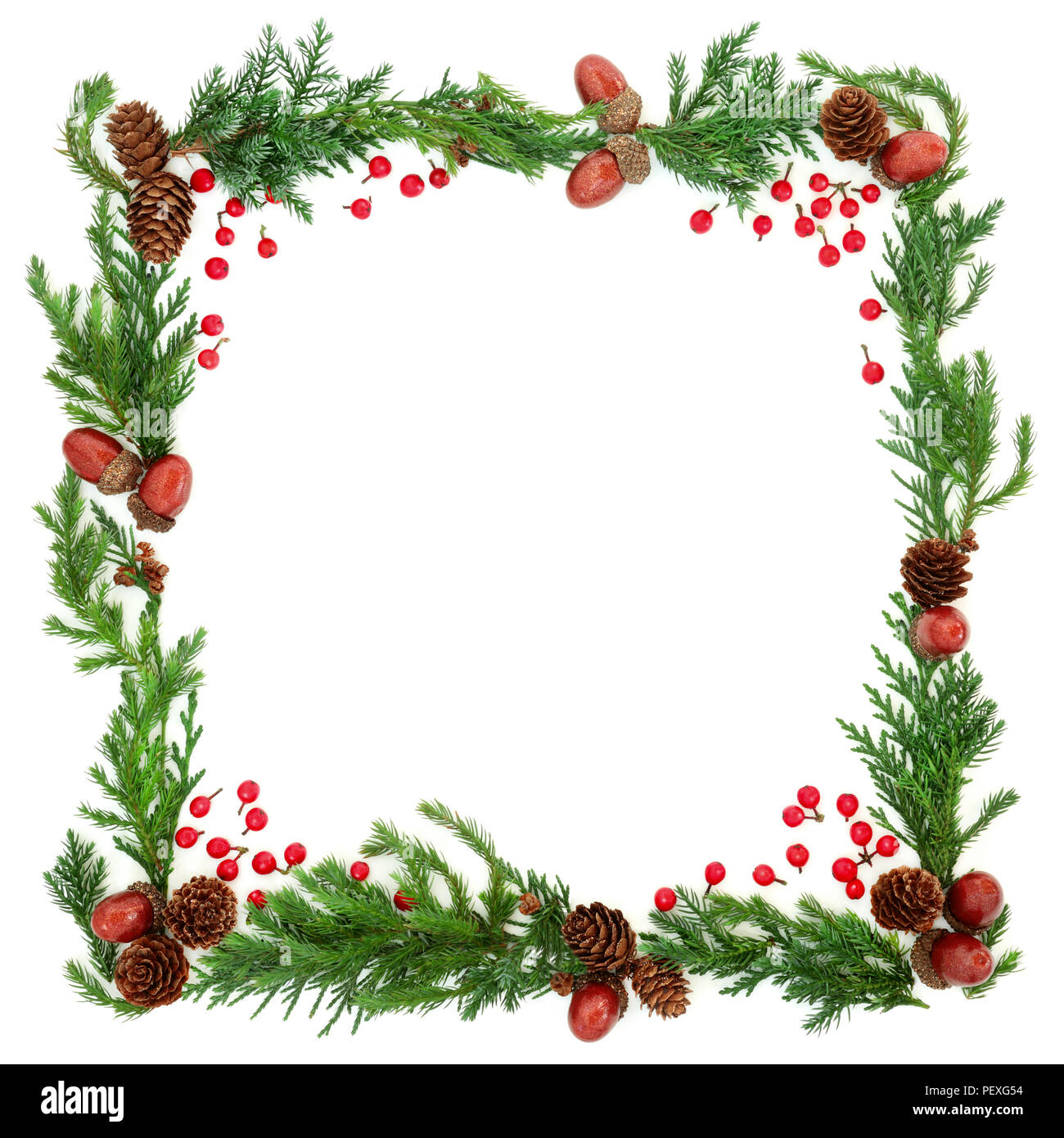 Pine Cone Border Clip Art