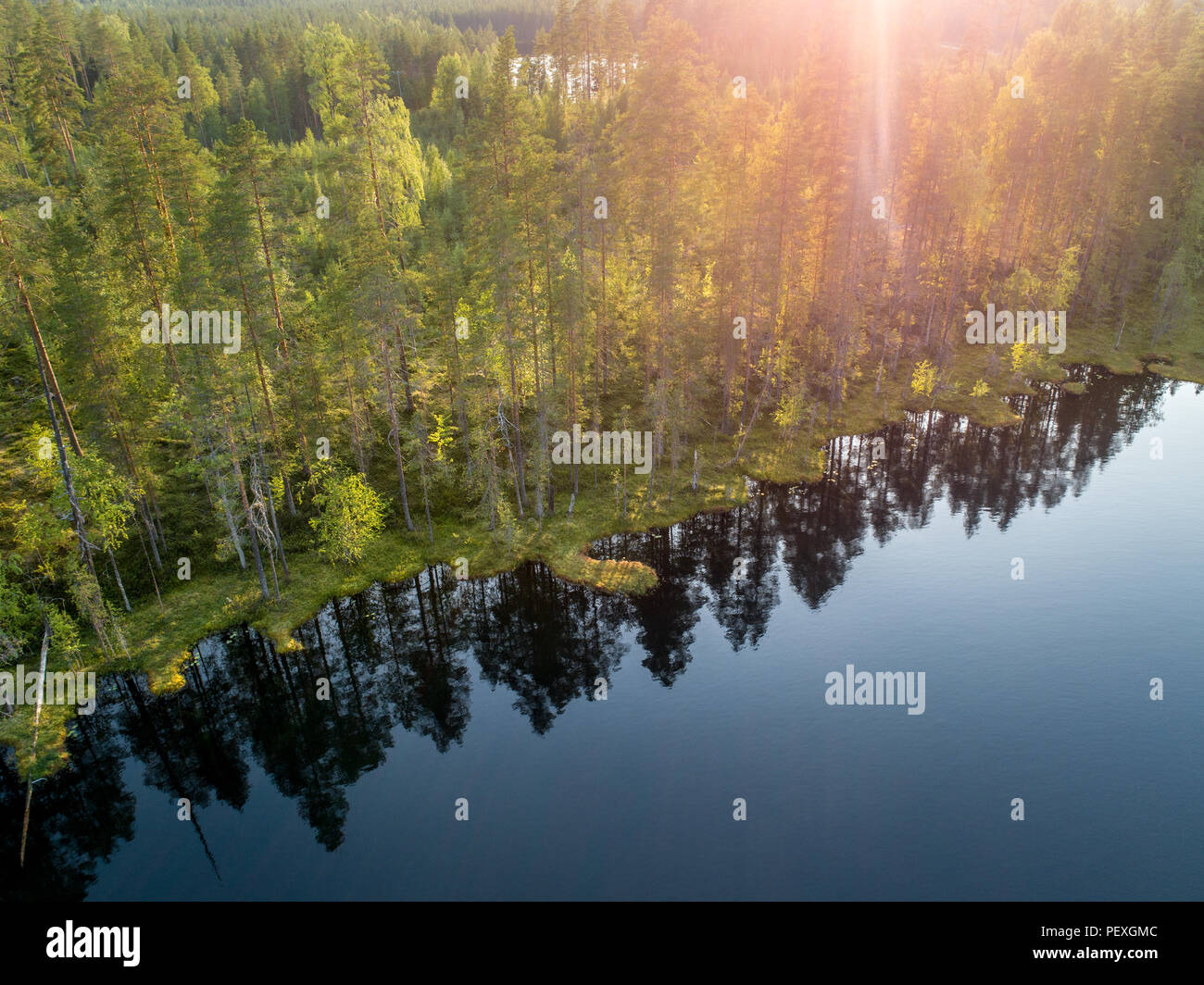 Aerial view of forest and little lake or pond in boreal aka taiga ...