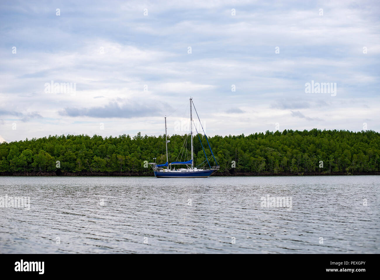 Cruise to the mangrove forest. Natural exploration Stock Photo - Alamy