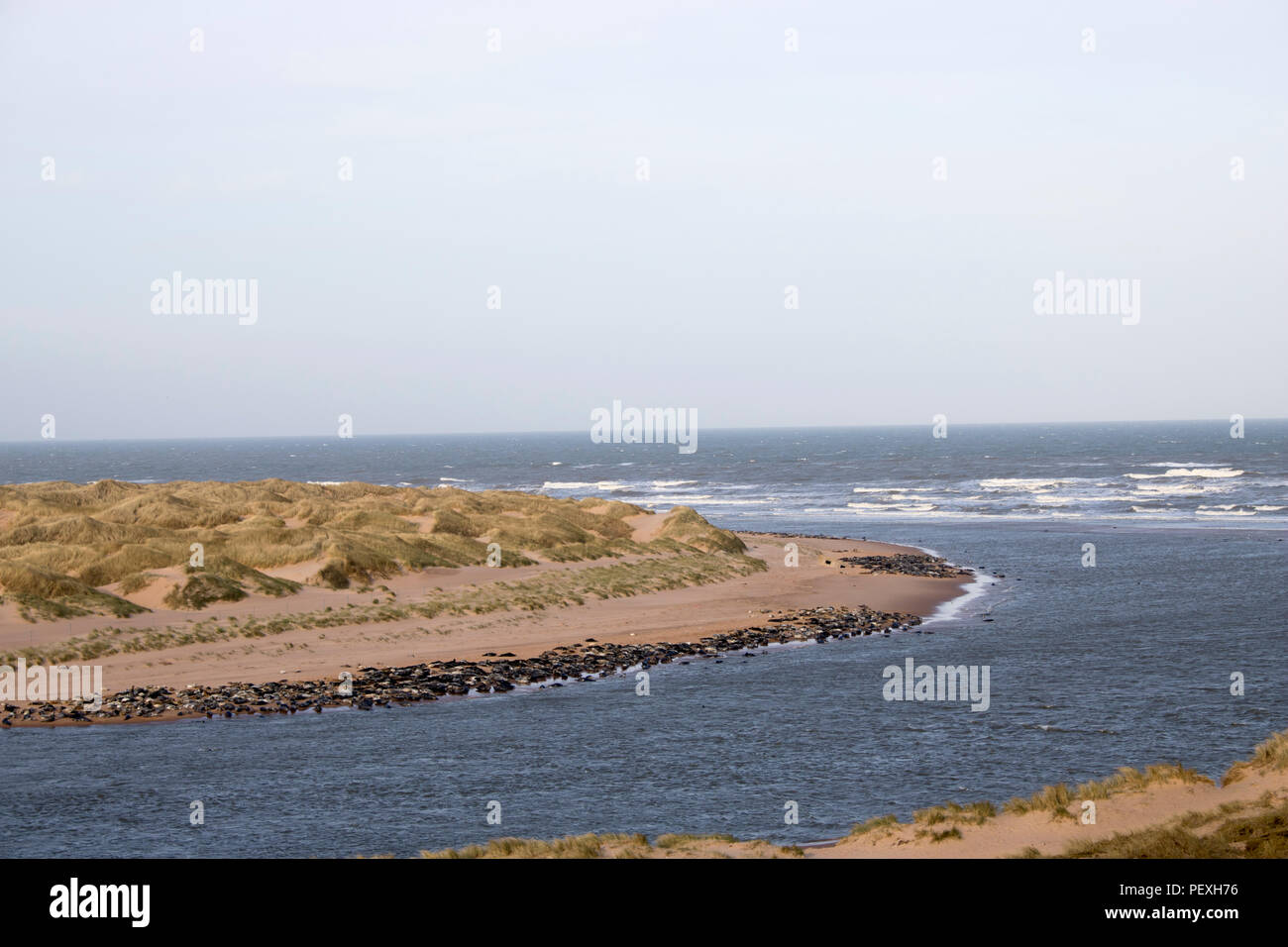 Mouth of Ythan Estuary at Newburgh Beach Stock Photo - Alamy