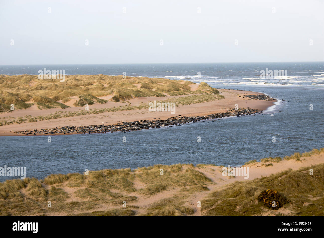 Mouth of Ythan Estuary at Newburgh Beach Stock Photo - Alamy