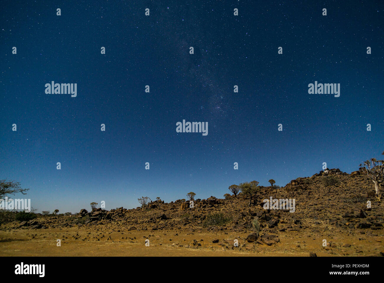 Milky way over Quiver tree galaxy stars Stock Photo - Alamy