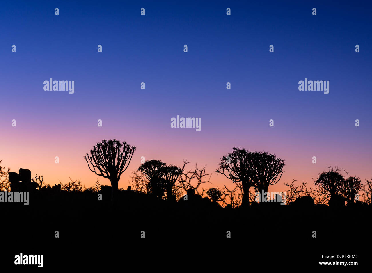 Astro ecology hi-res stock photography and images - Alamy
