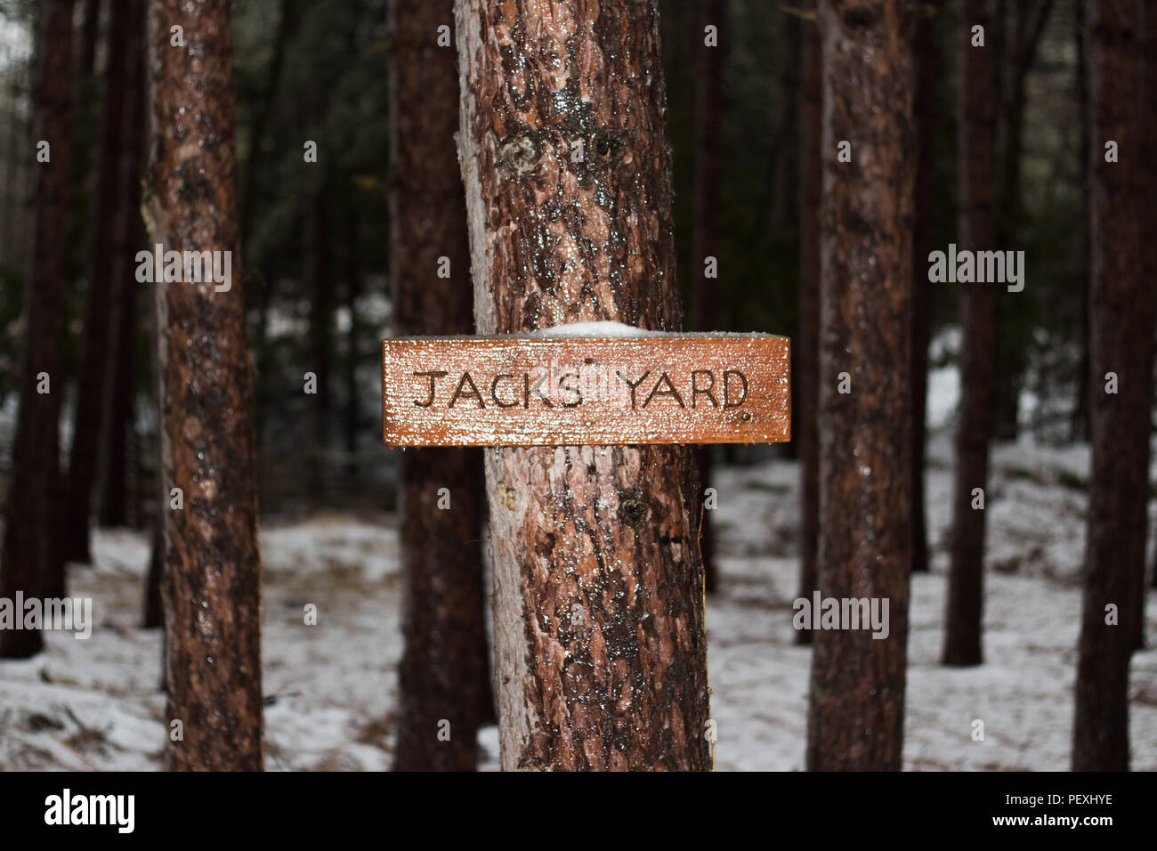 Jack's yard wood post sign in the forest in winter Stock Photo - Alamy