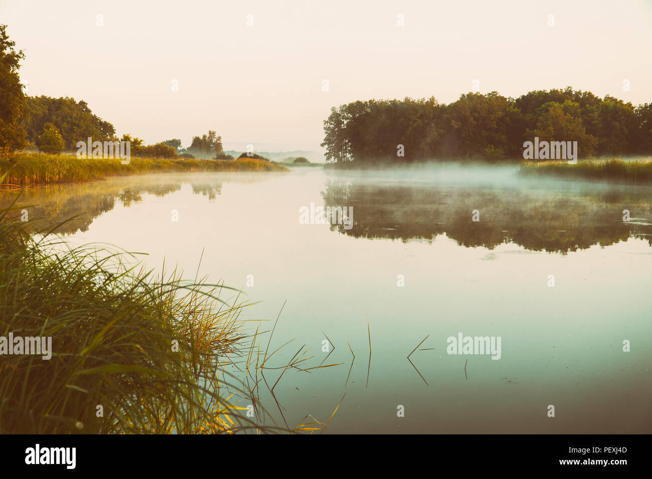 Morning fog on a quiet lake Stock Photo - Alamy