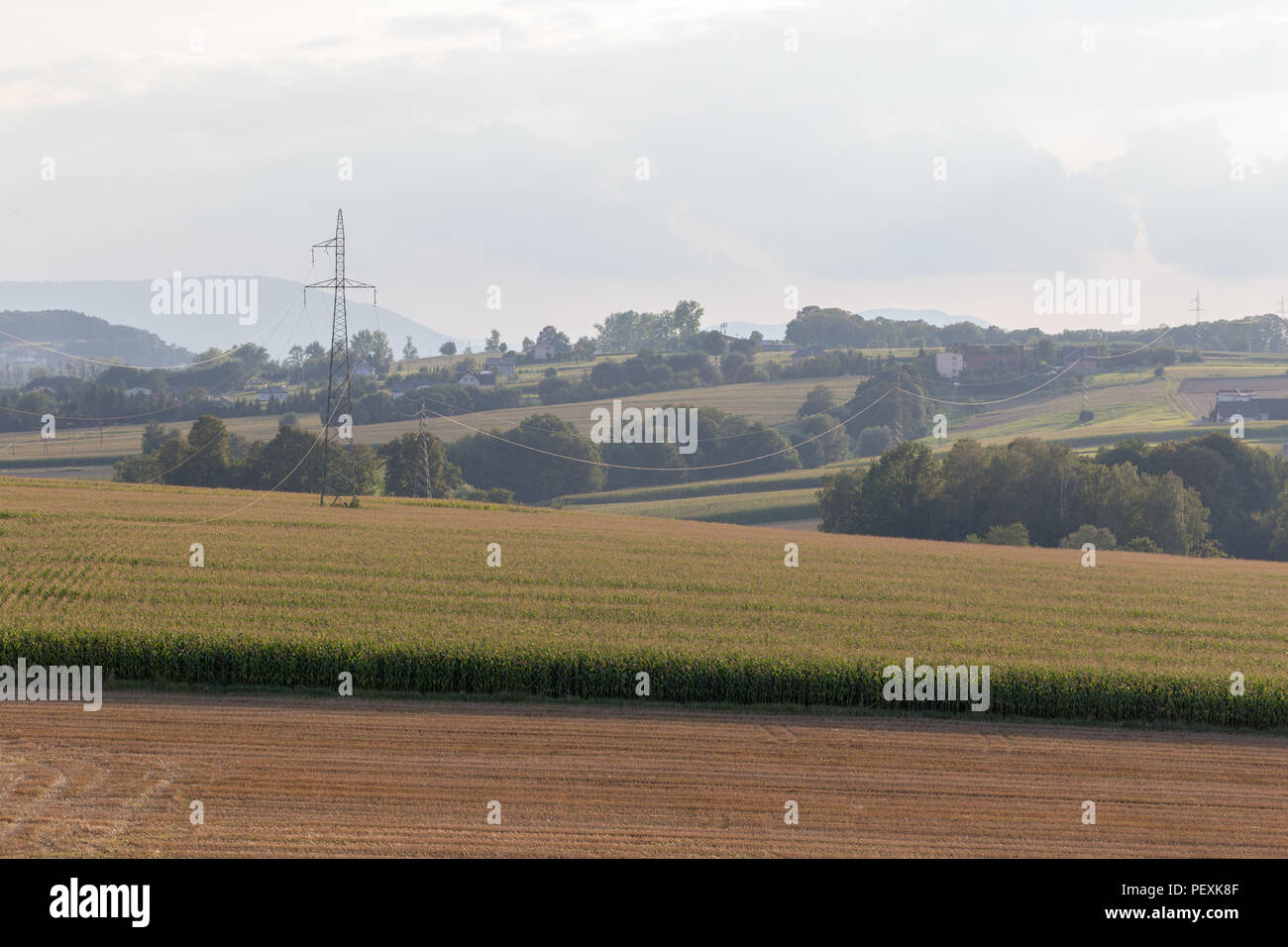 Power pylons and high voltage lines in mountain agricultural landscape ...