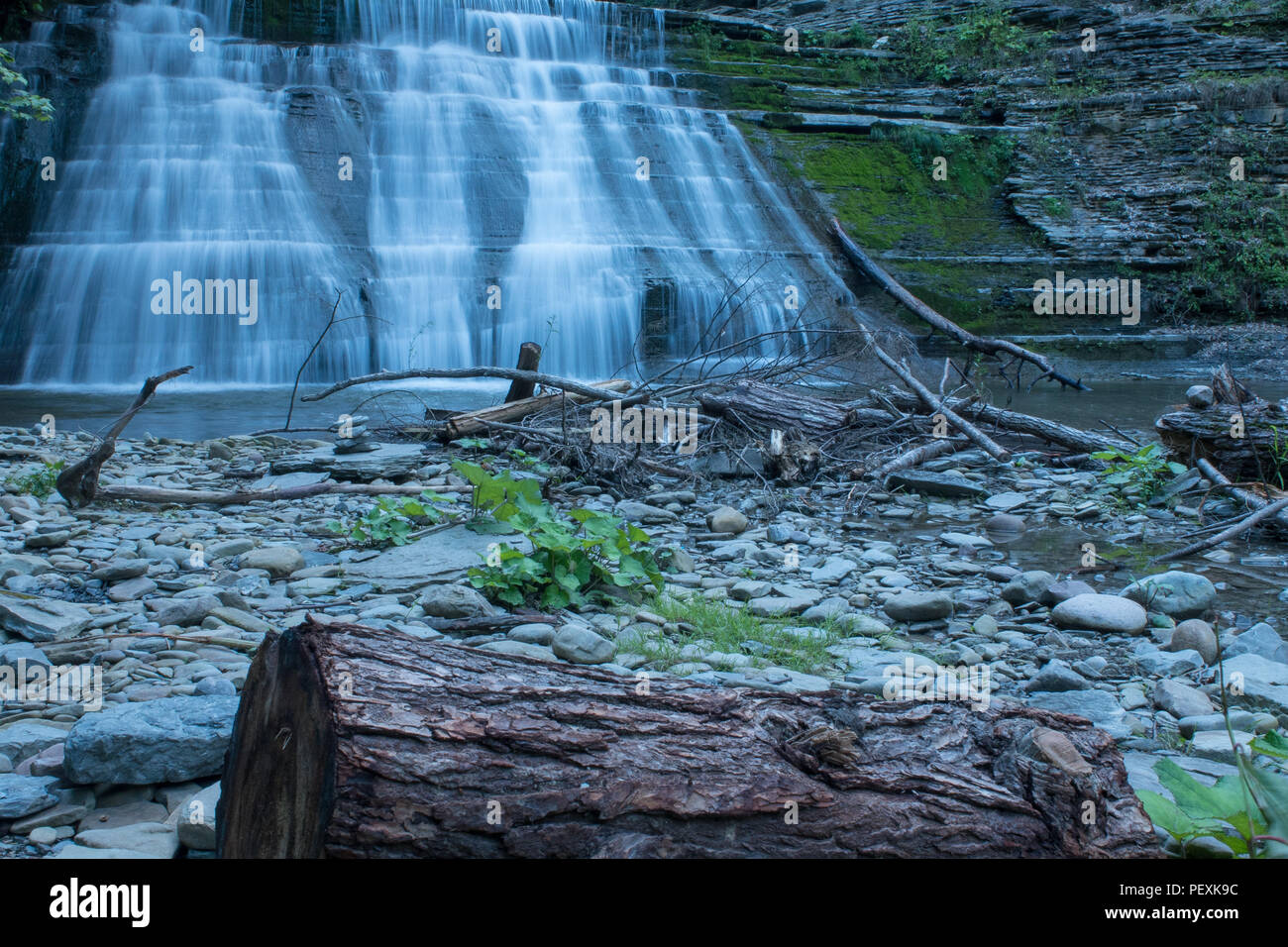 Skinny dipping hi-res stock photography and images - Alamy