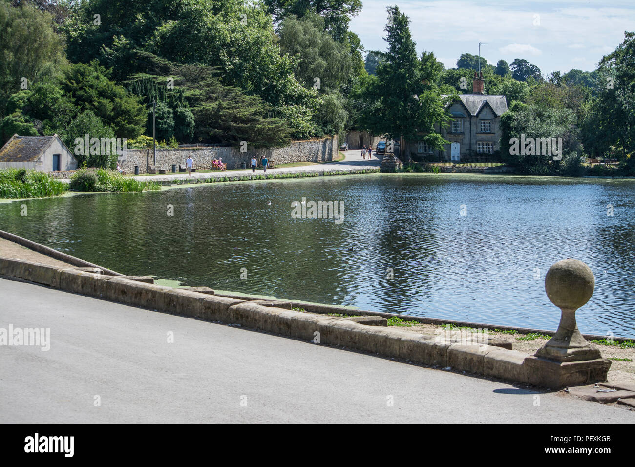 The Pool at Melbourne, Derbyshire, UK Stock Photo - Alamy