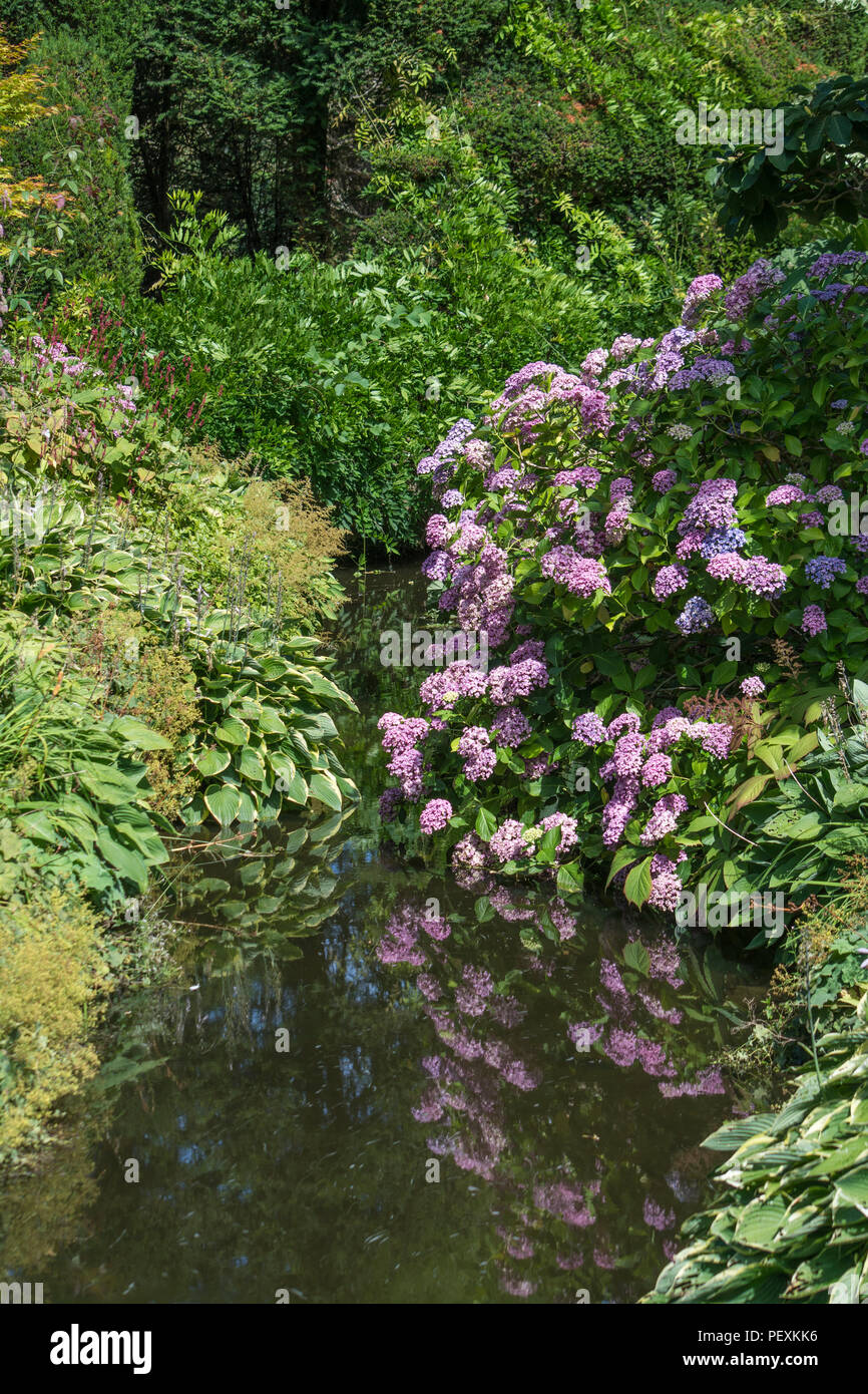 Water feature and flower border at Melbourne Hall and Gardens ...