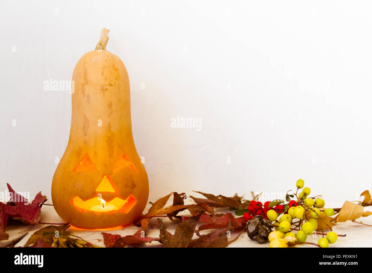 halloween pumpkins on white background with space for text Stock Photo ...