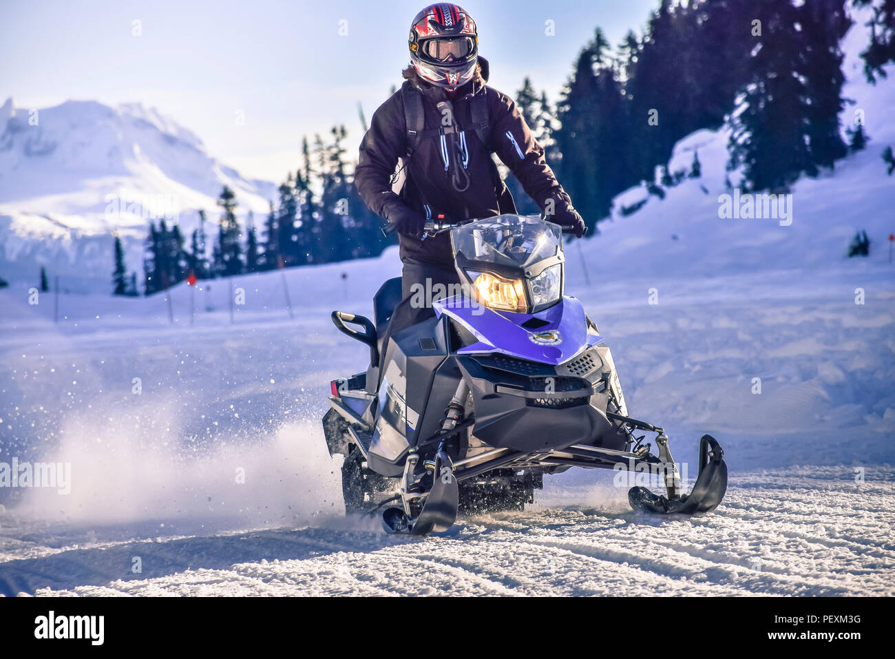 Man riding snowmobile in Callaghan Valley, Whistler, British Columbia ...
